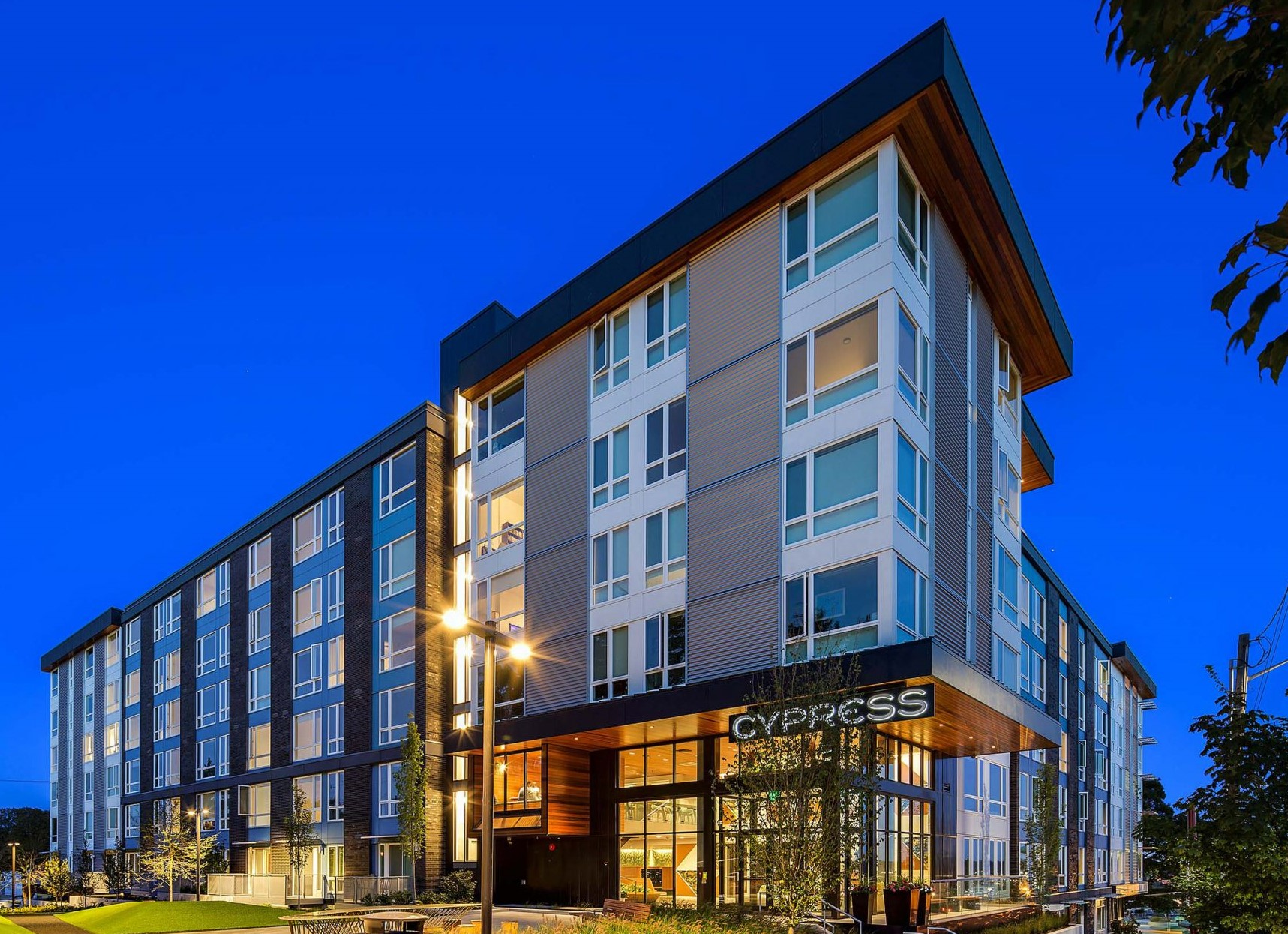 Cypress (2) - Ecotope